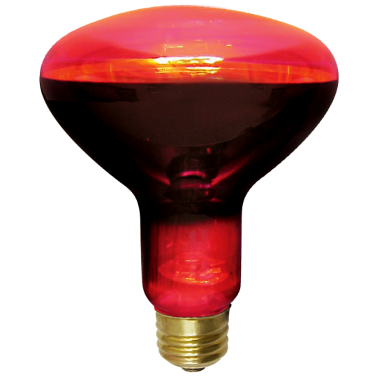 Pet Lamps - R30 - 150W - Nite-Brite™ | Premium Quality Lighting